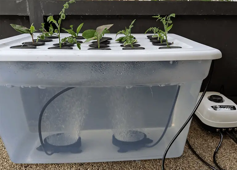 Building A Hydroponic Cloner – Fl Gardening