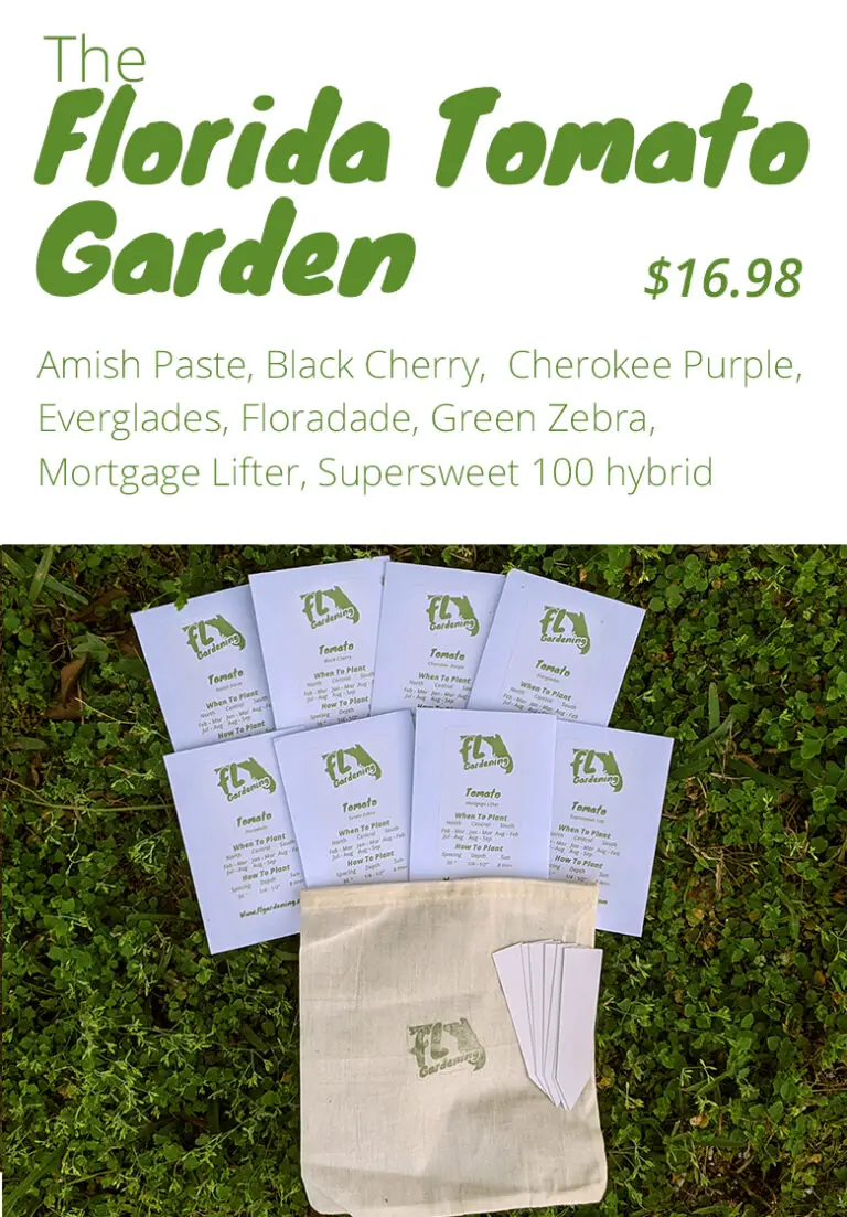 The Best Tomatoes To Grow In Florida – Fl Gardening