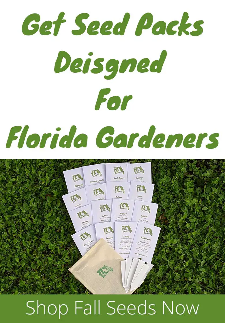 Florida Vegetable Gardening For Beginners – Fl Gardening